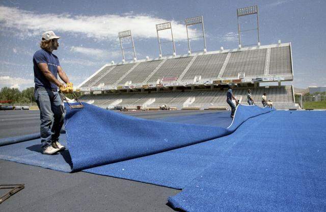 Dead ducks have been found on The Blue? Do they crash-land? | Idaho ...