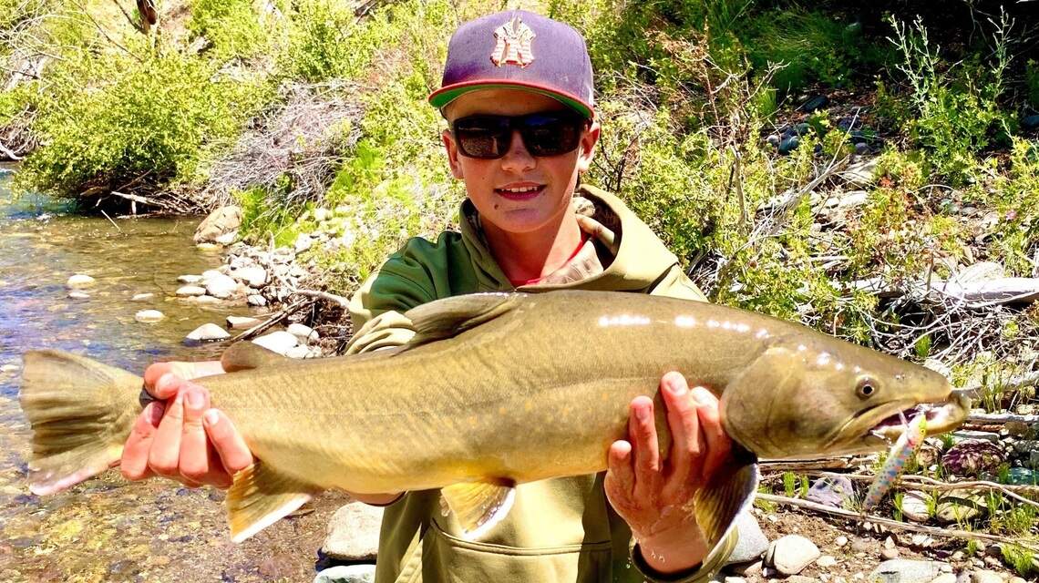 Bull Trout Lake Idaho