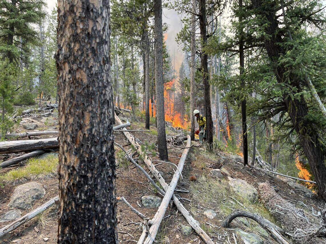 Idaho’s Bench Lake Fire started by humans, firefighters say | Idaho ...