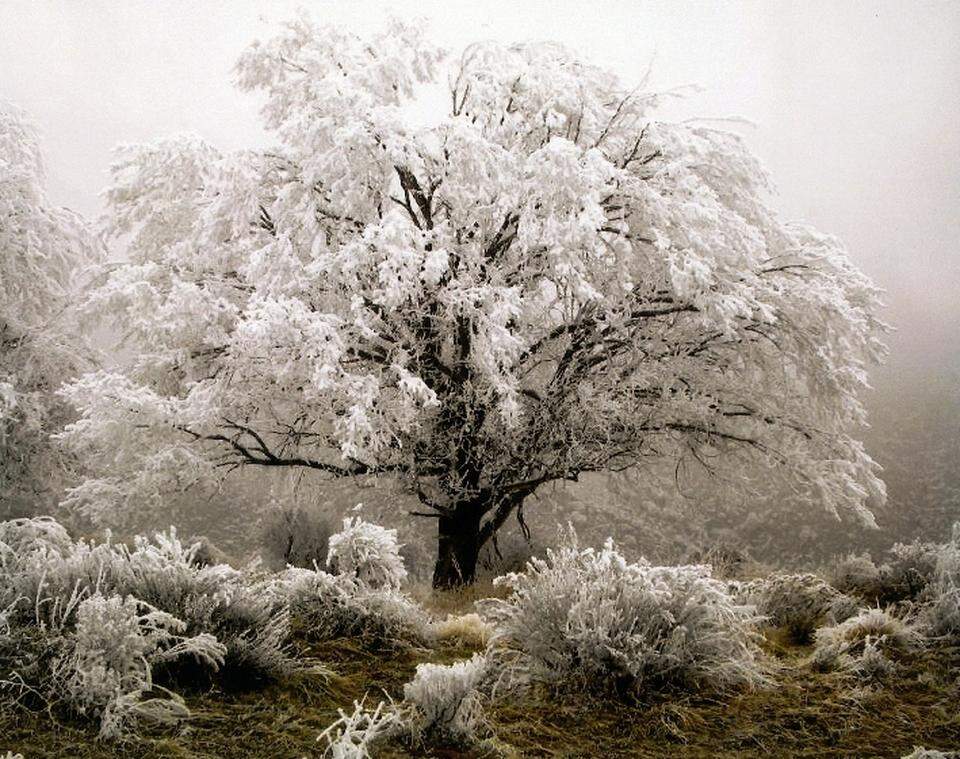 Boise ID weather: Freezing temperatures, frost in forecast | Idaho ...