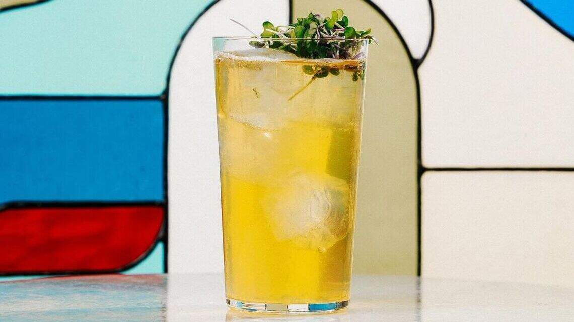 Bar Please opens with cocktail focus on Boise’s Idaho Street | Idaho ...