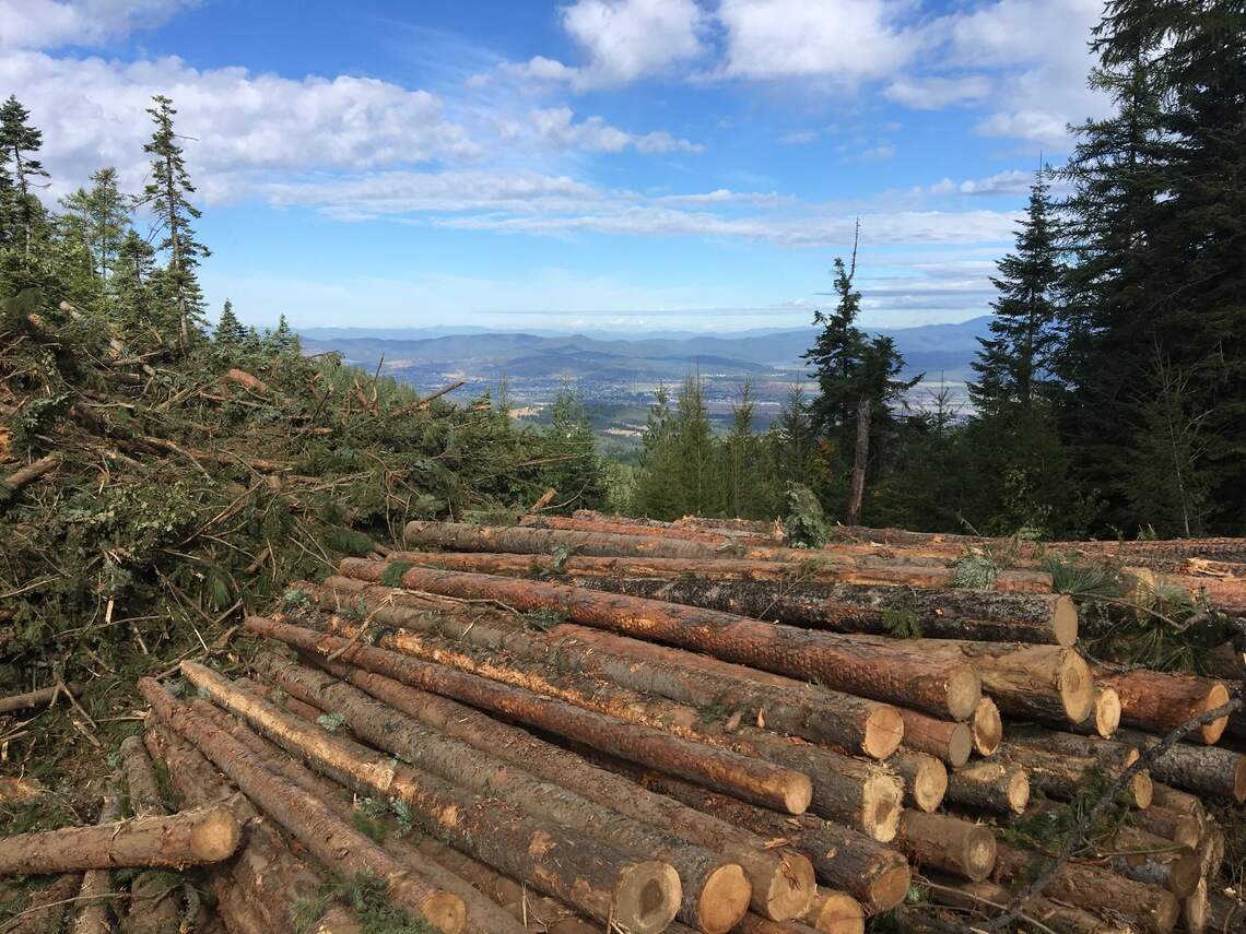 Gov. Little’s plan to fight Idaho wildfires includes logging | Idaho ...